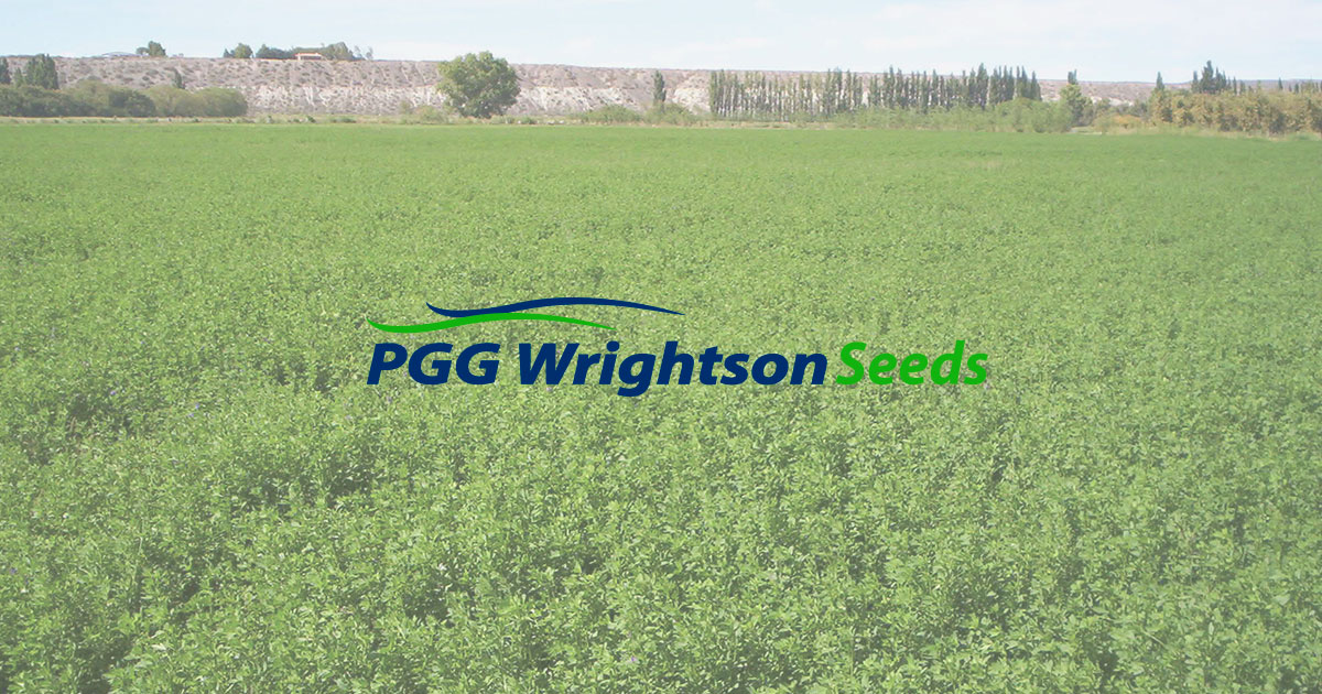 PGG WRIGHTSON SEEDS